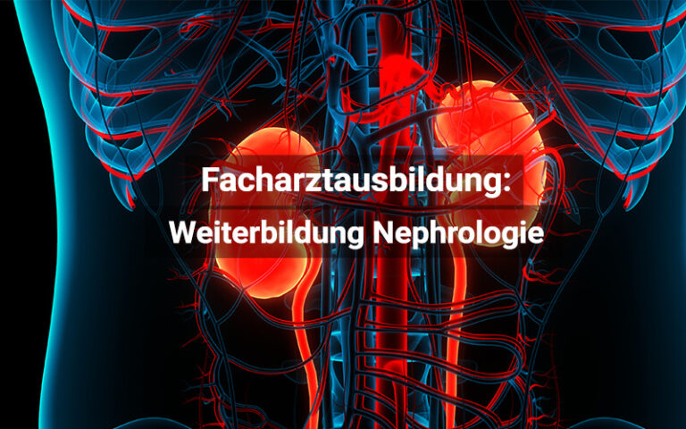 Facharztausbildung: Weiterbildung Innere Medizin & Nephrologie